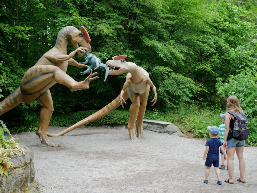 Der Saurierpark in Kleinwelka - Hilfe, die Dinos sind zurück!