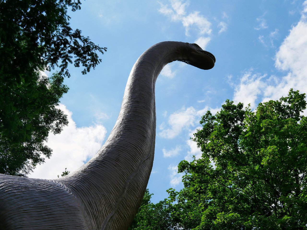 Der Saurierpark in Kleinwelka - Hilfe, die Dinos sind zurück!