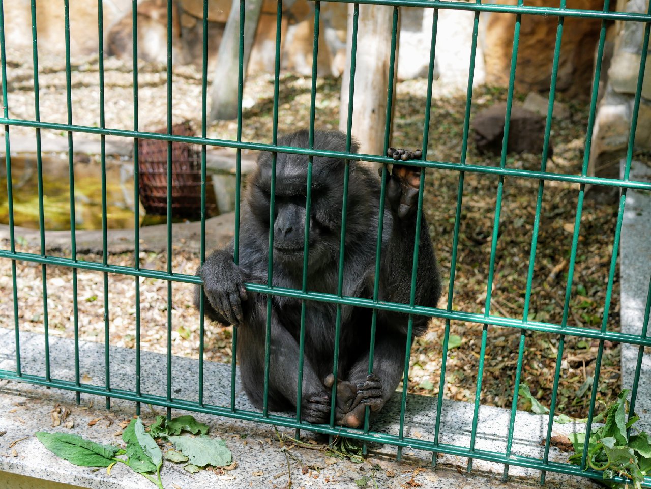 Der Tierpark Gotha - Die Erlebniswelt für Groß und Klein! - urlaubspapa.de