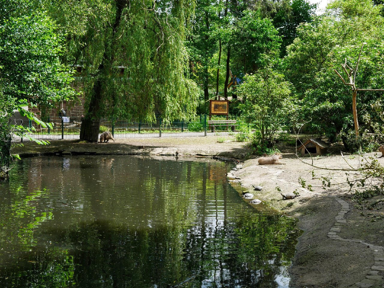 Der Tierpark Gotha - Die Erlebniswelt für Groß und Klein! - urlaubspapa.de