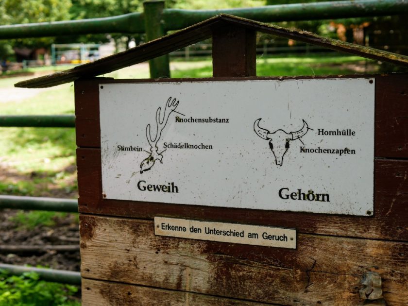 Der Tierpark Gotha - Die Erlebniswelt für Groß und Klein! - urlaubspapa.de