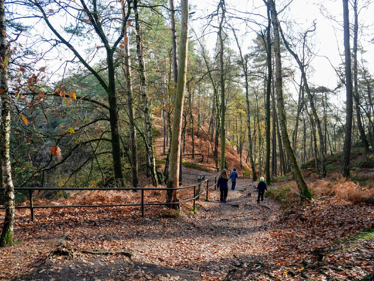 Der Rauenstein - Das ideale Wanderziel mit Kindern!